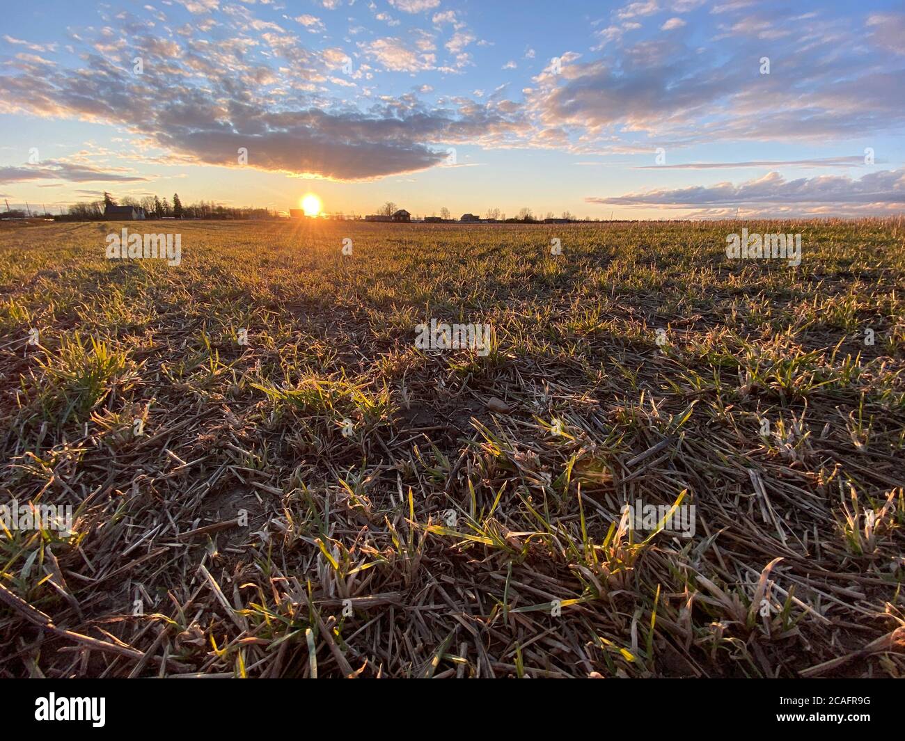 Spring agricultural field at sunset Stock Photo - Alamy