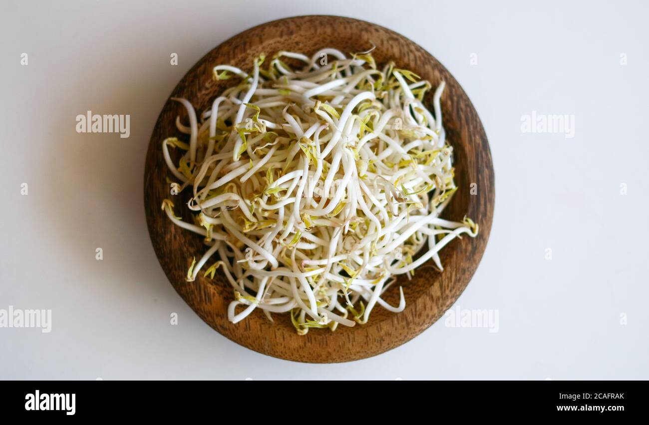 Mung bean sprouts tauge hi-res stock photography and images - Alamy