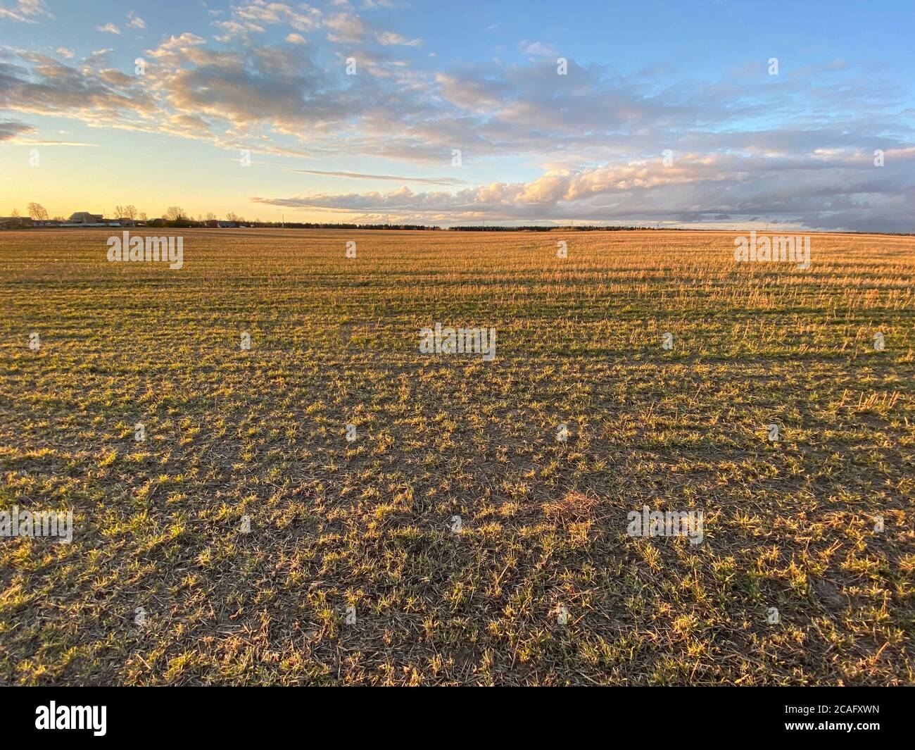Spring agricultural field hi-res stock photography and images - Alamy