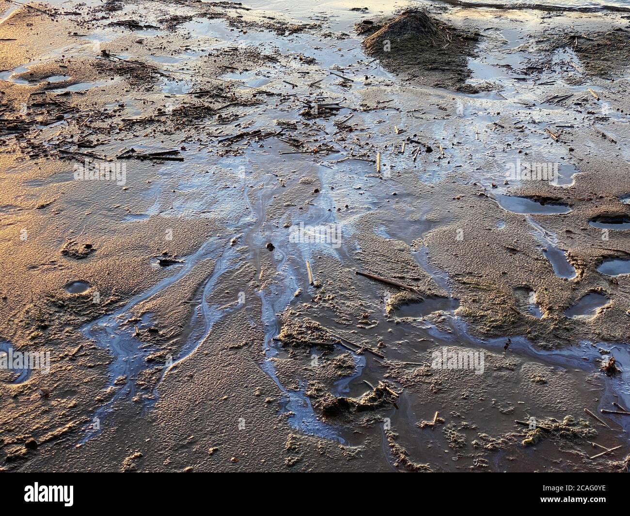 oil stains on beach sand environmental disaster Stock Photo - Alamy
