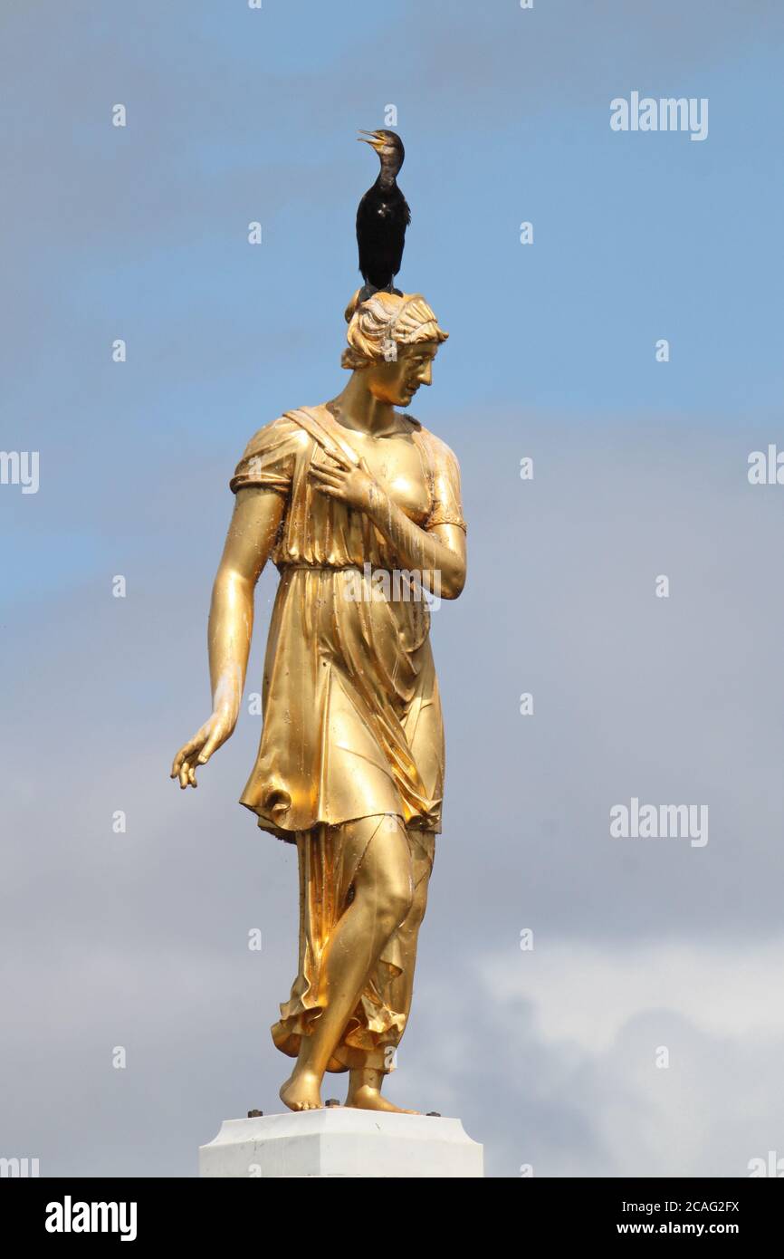 Cormorant statue hi-res stock photography and images - Alamy