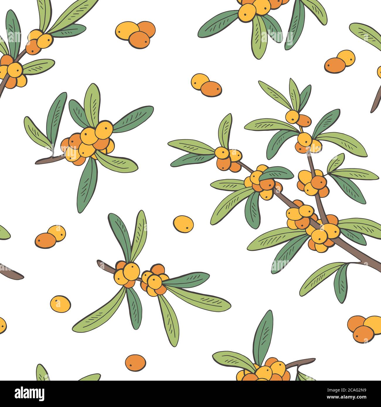 Sea buckthorn berry graphic color seamless pattern sketch background ...