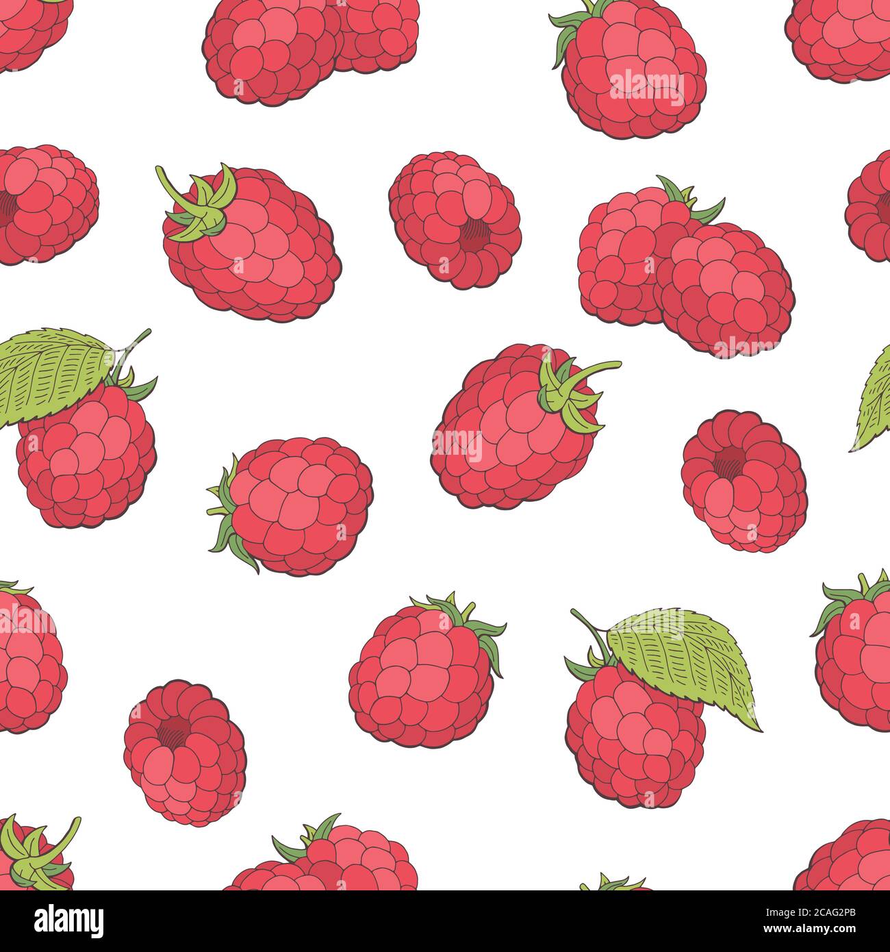 Raspberry graphic red green color seamless pattern background sketch ...