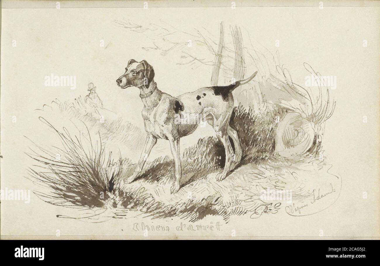 1843 History Historical Archive Archival High Resolution Stock ...