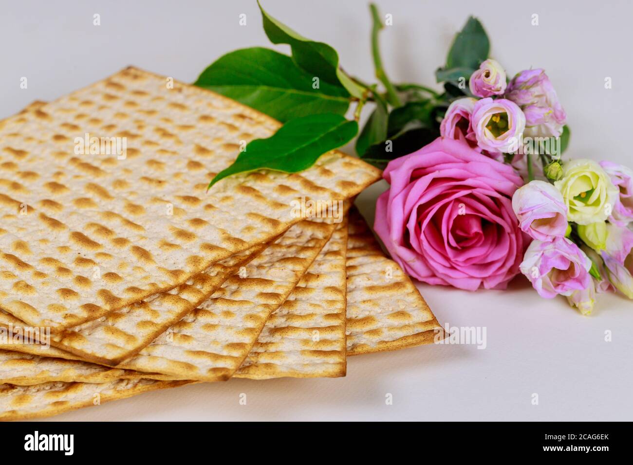 Matzah bread with pink roses. Jewish Passover holiday concept Stock ...
