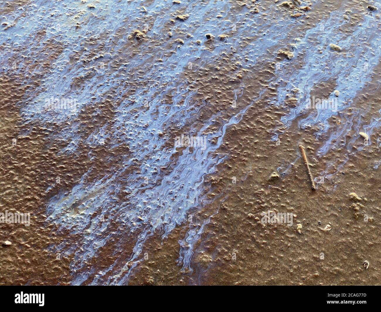 oil stains on beach sand environmental disaster Stock Photo - Alamy