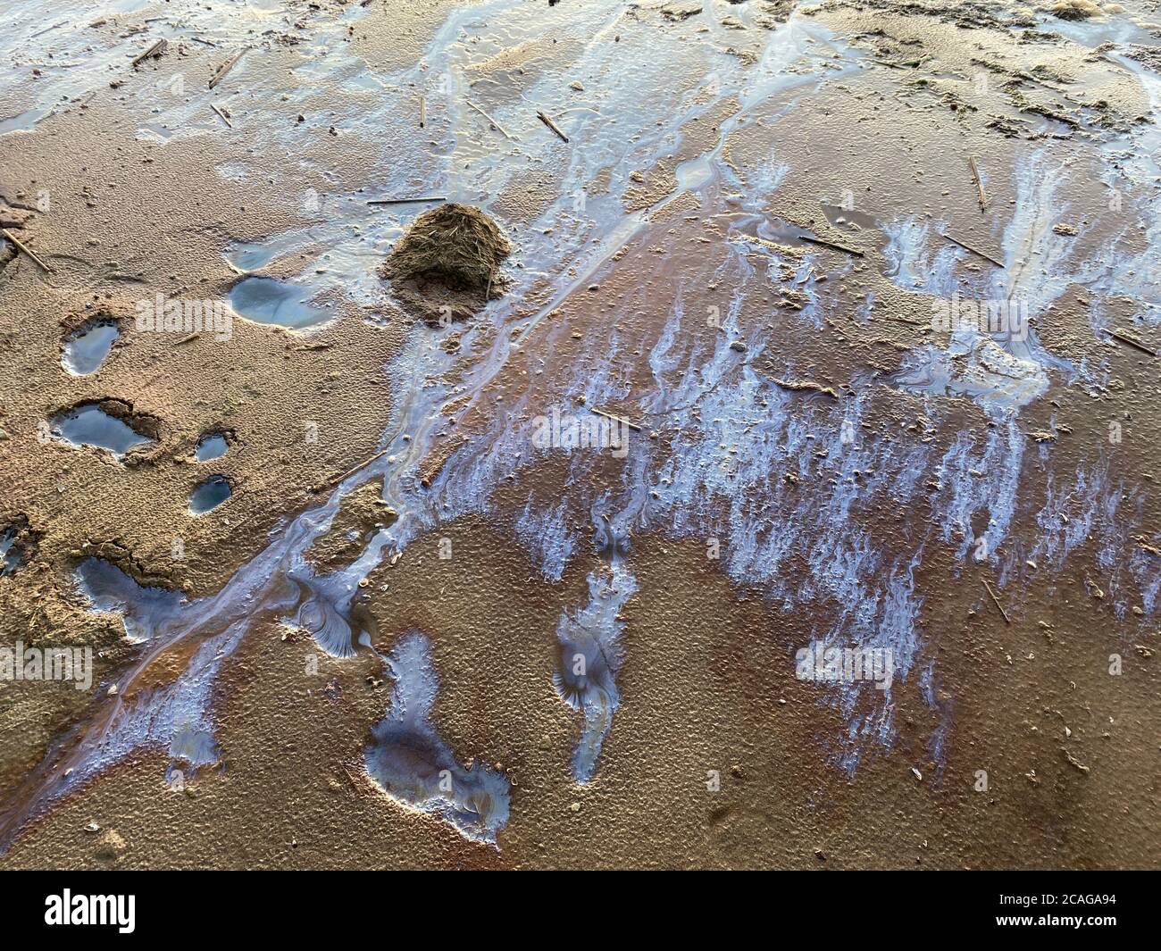 oil stains on beach sand environmental disaster Stock Photo - Alamy