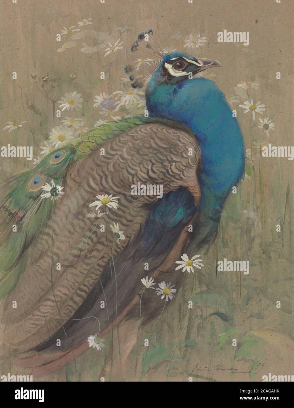 Edwin john alexander hi-res stock photography and images - Alamy