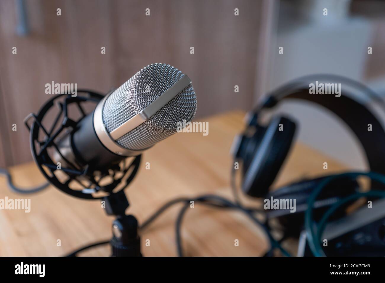 Microphone - professional condenser microphone in a home studio for ...