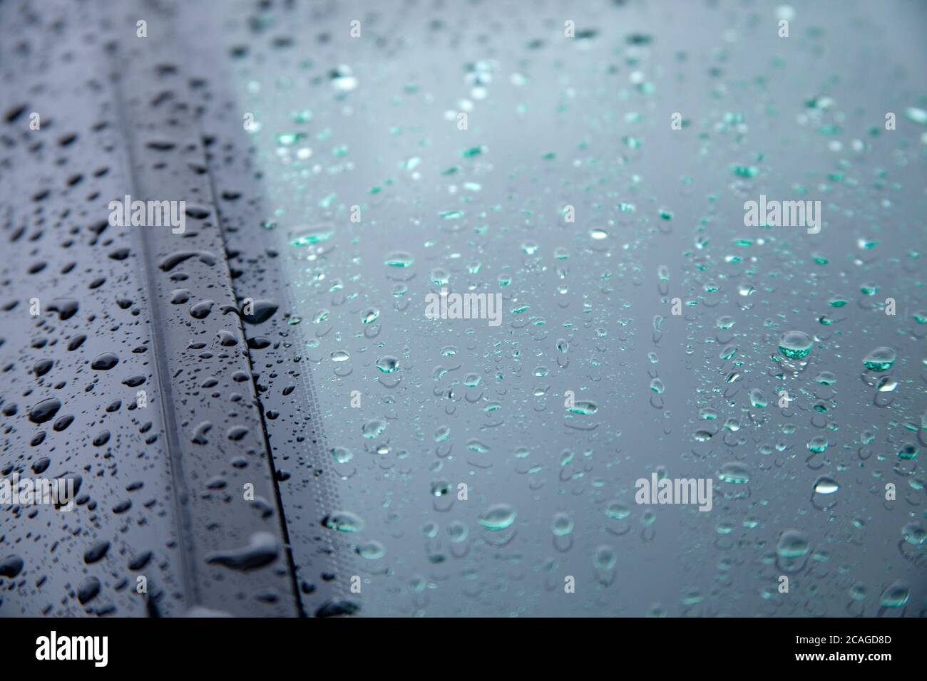 Water drops collect on top of metallic car surface Stock Photo - Alamy