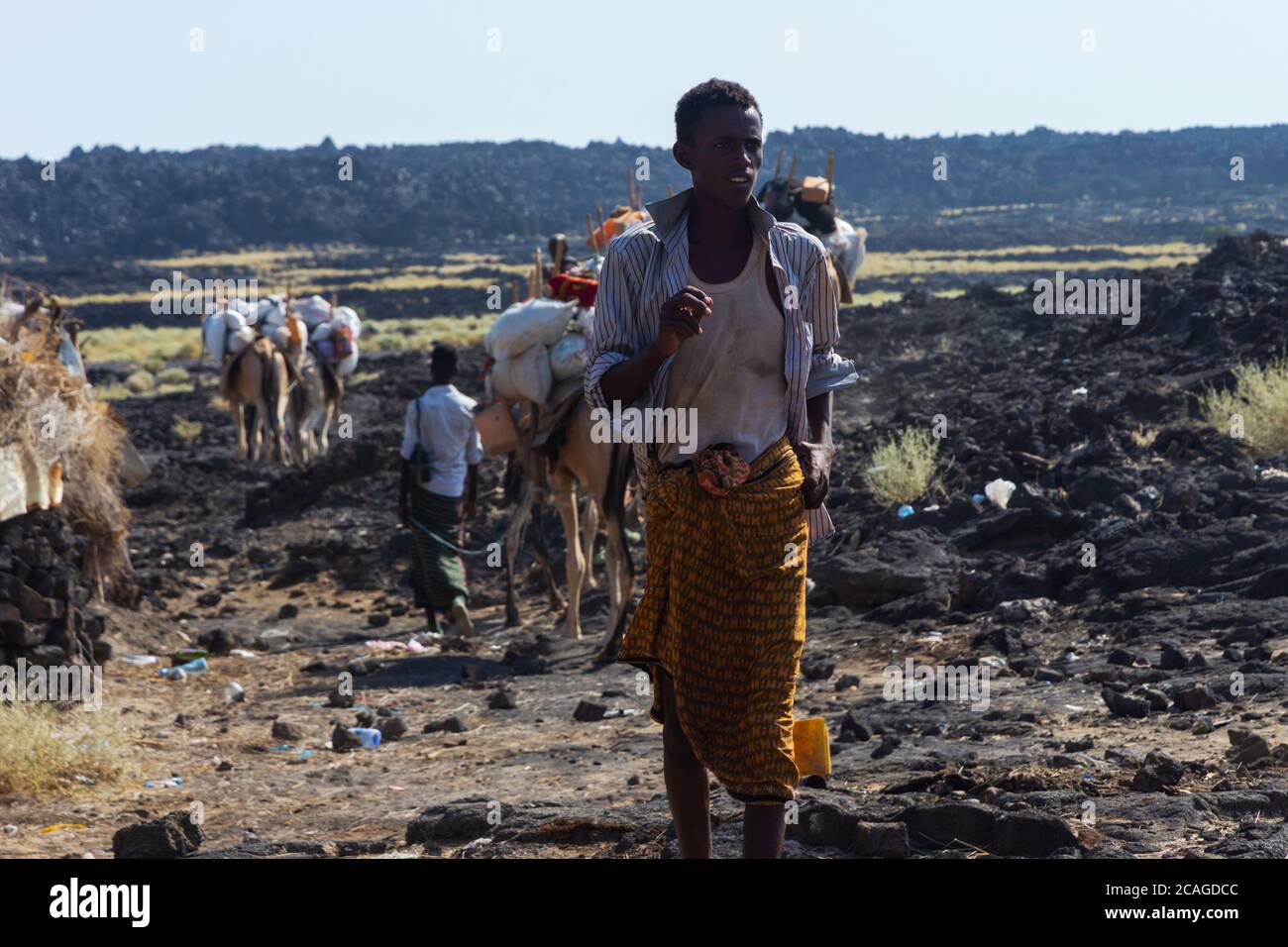 Erta Ale, Ethiopia - Nov 2018: caravan of camels guided by local Afar ...