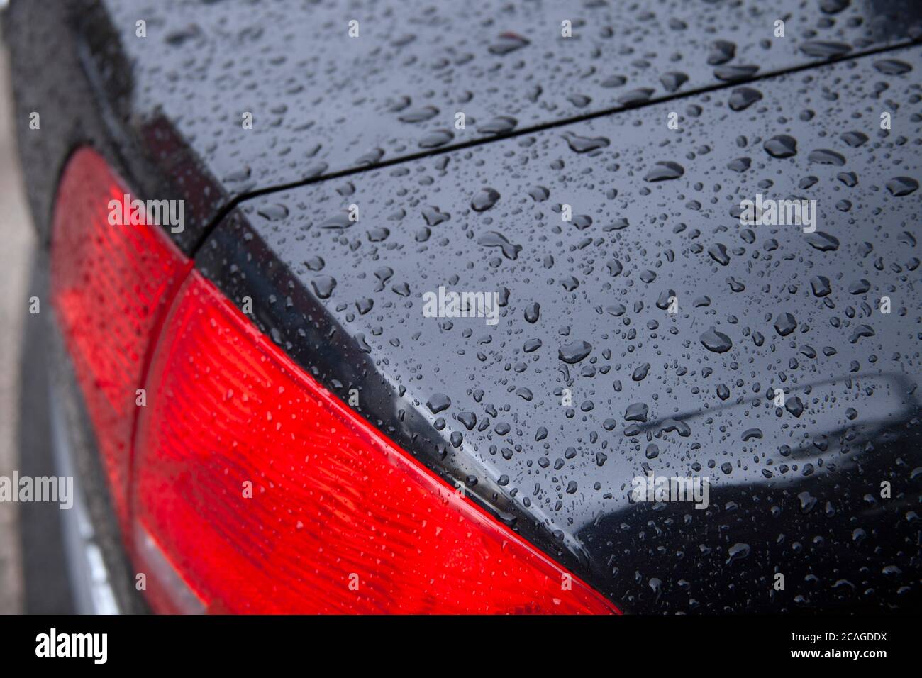 Water drops collect on top of metallic car surface Stock Photo - Alamy