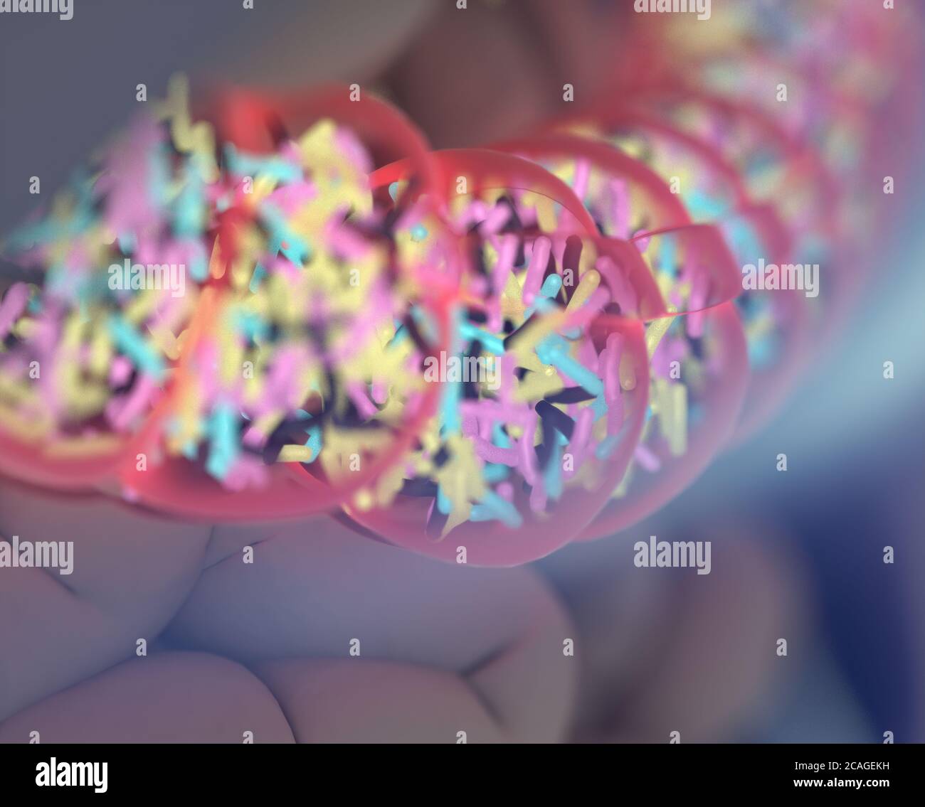 Gut bacteria, microbiome. Bacteria inside the large intestine, concept ...