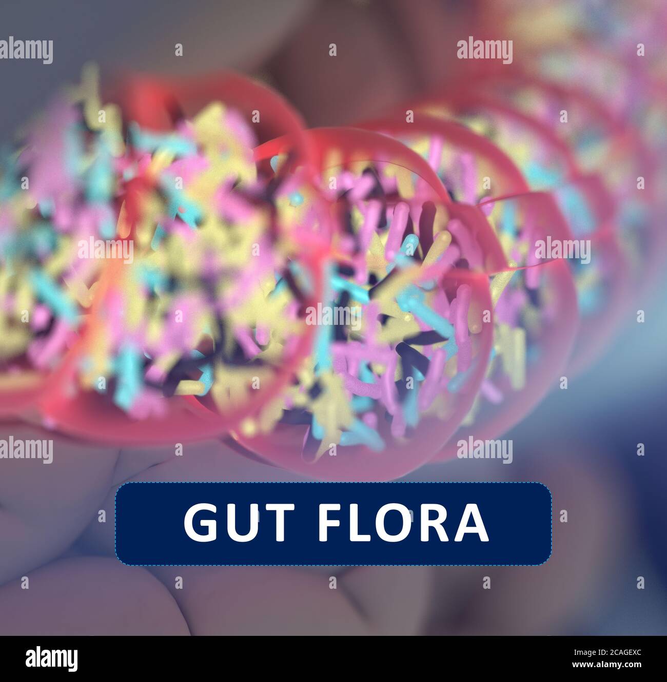 Gut bacteria, microbiome. Bacteria inside the large intestine, concept ...