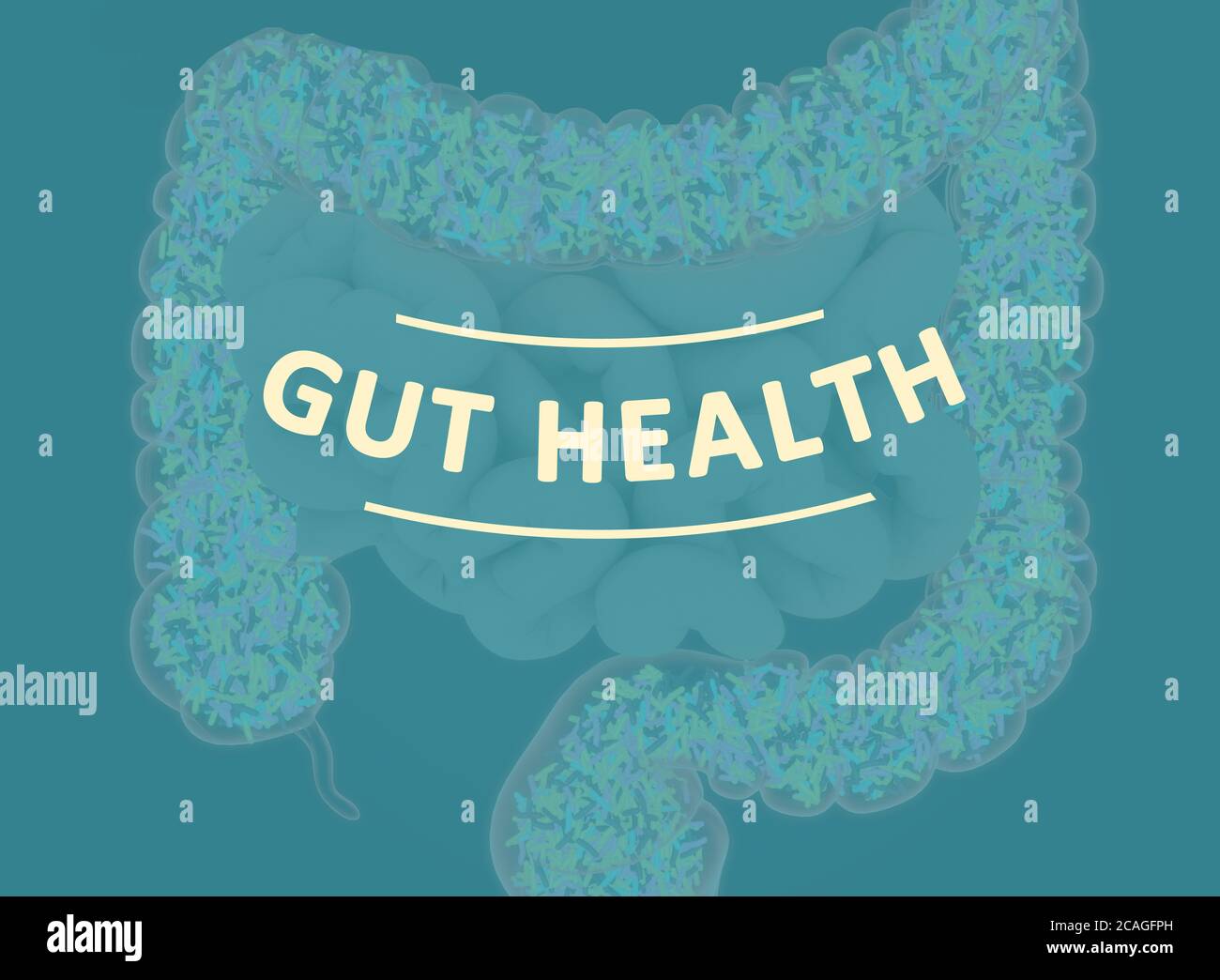 Gut bacteria, microbiome. Bacteria inside the large intestine, concept ...