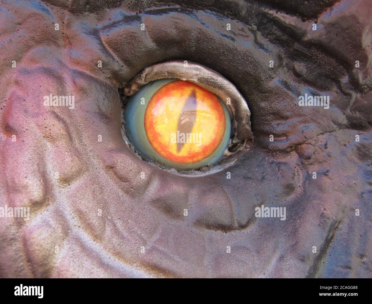 Elliptical eye hi-res stock photography and images - Alamy