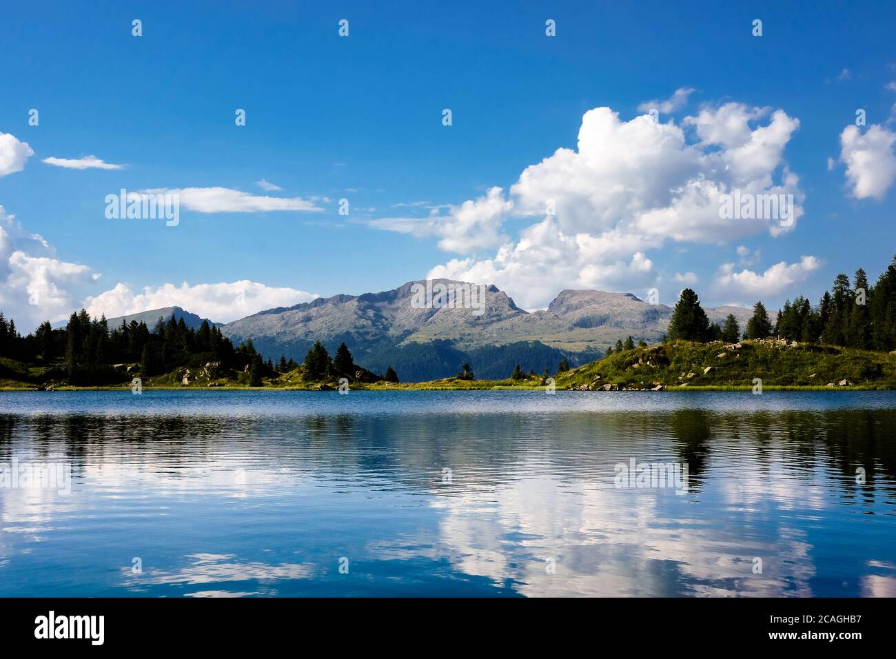 Breath of trees hi-res stock photography and images - Alamy