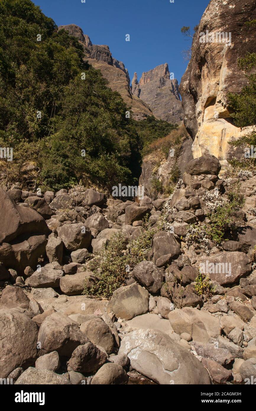 The Devils Tooth and Inner Tower. Drakensberg 11021 Stock Photo - Alamy