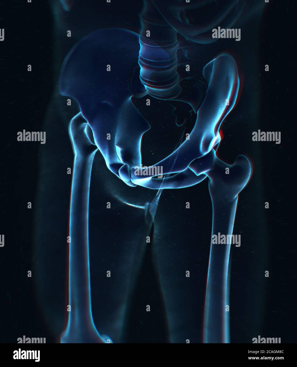 Ilium bone, hip bone or pelvis. Human anatomy, bone skeletal structure ...