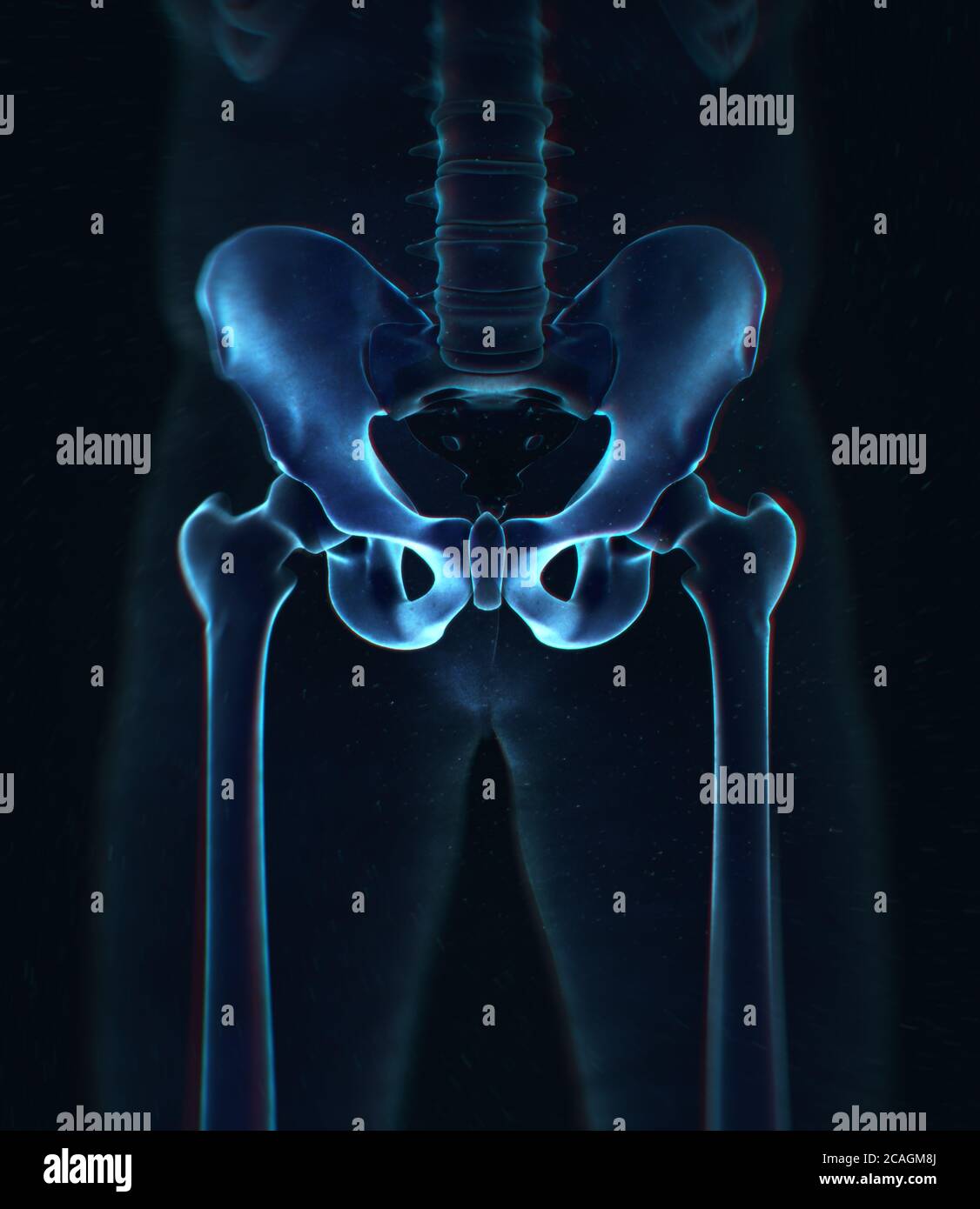 Ilium bone, hip bone or pelvis. Human anatomy, bone skeletal structure ...