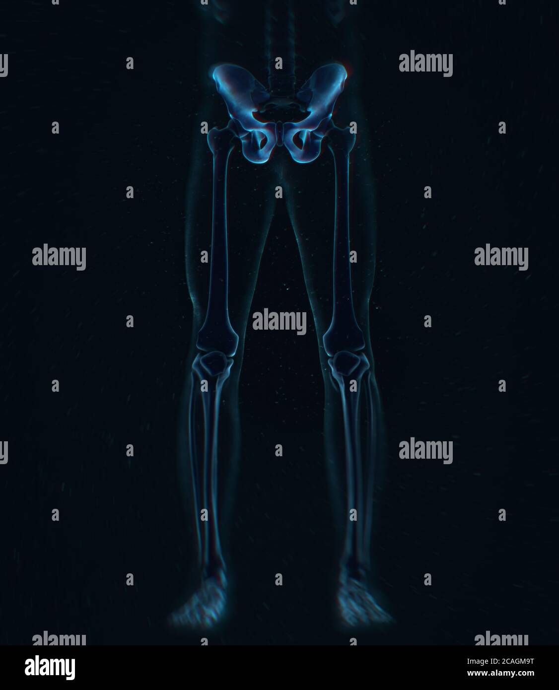 Ilium bone, hip bone or pelvis. Human anatomy, bone skeletal structure ...