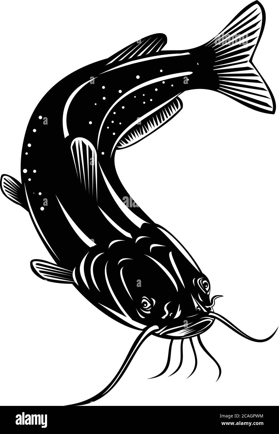 Retro woodcut style illustration of a channel catfish Ictalurus ...