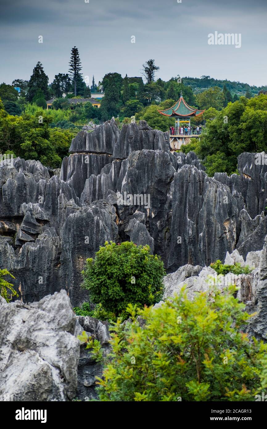 Stone Forest or Shilin, Kunming, Yunnan Province, China, Asia, Asian ...