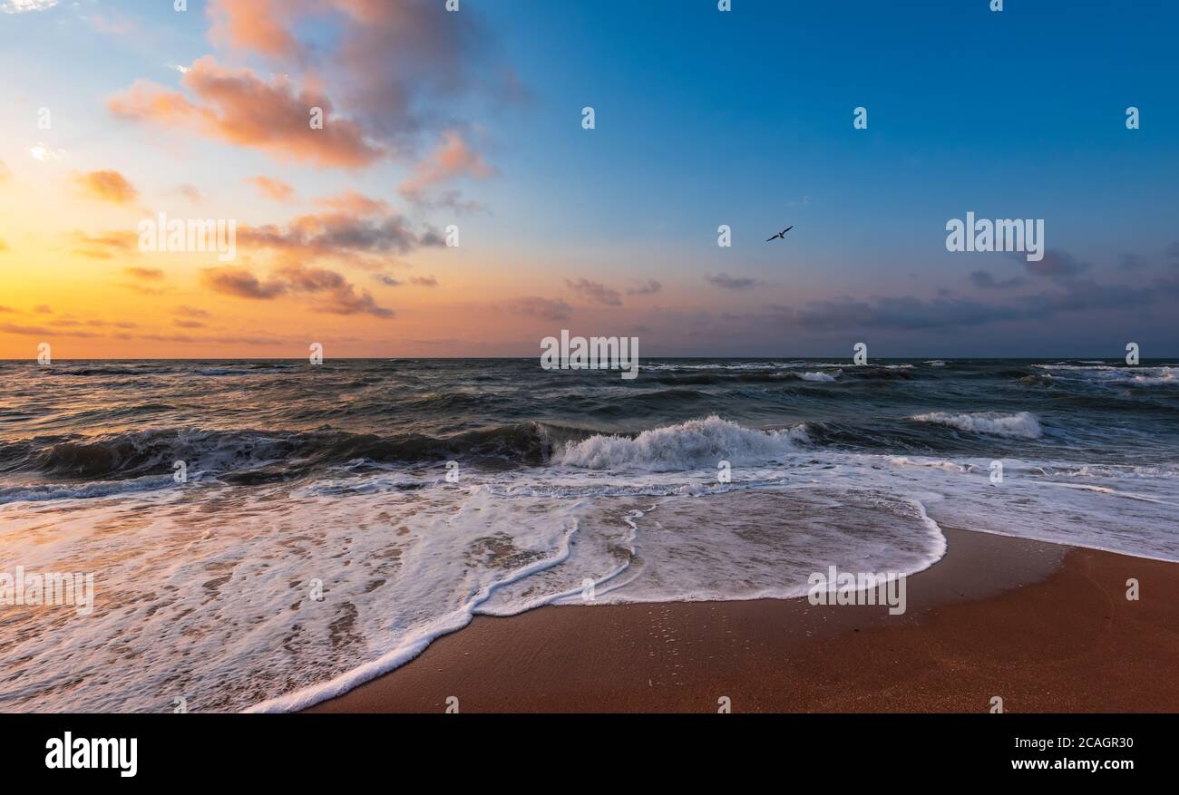 Colorful sunset with wave splashes on the beach Stock Photo - Alamy