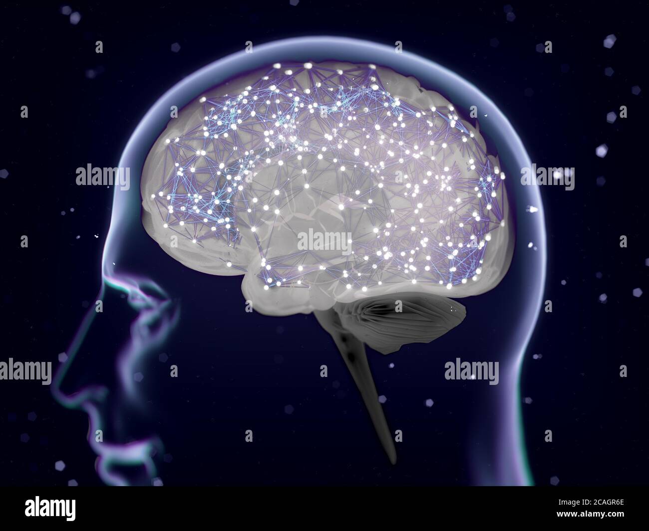 Brain neuron connections or network inside head, concept art. 3d ...