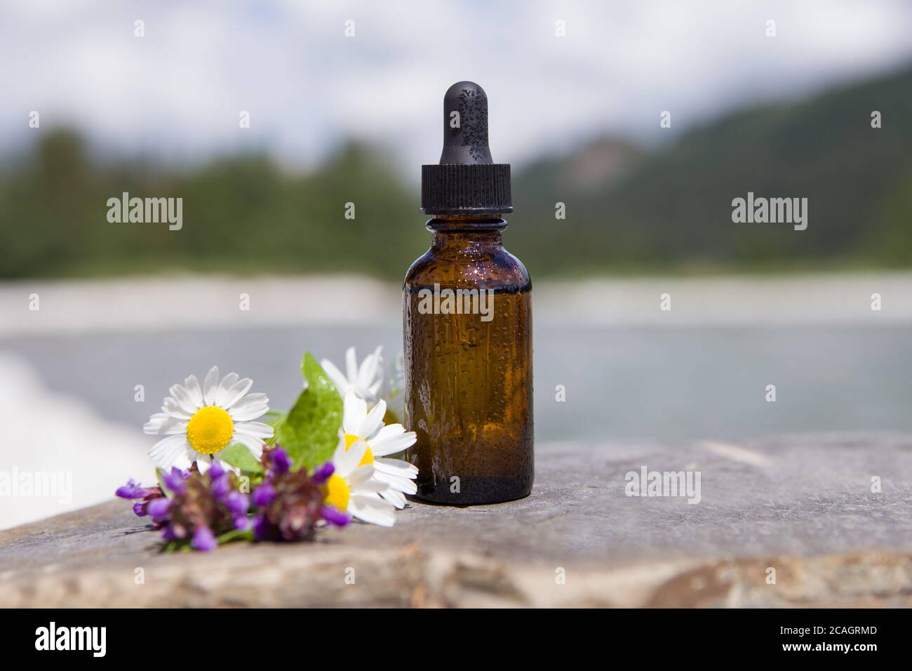 Science of ayurveda hi-res stock photography and images - Alamy