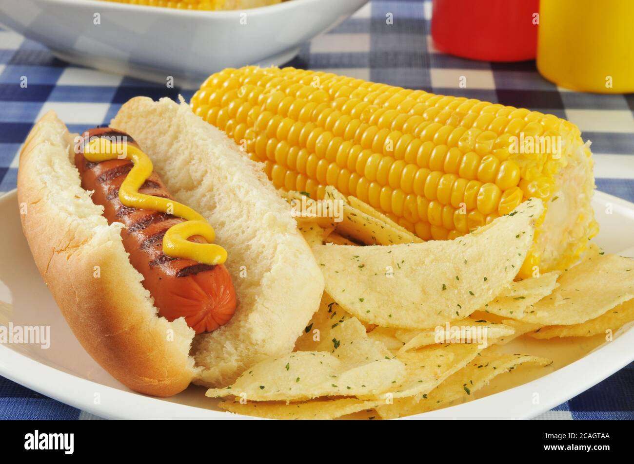 Corn On The Cob Hamburgers Hot Dogs