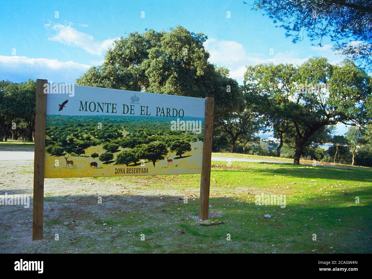 Monte de El Pardo Nature Reserve. El Pardo, Madrid province, Spain ...