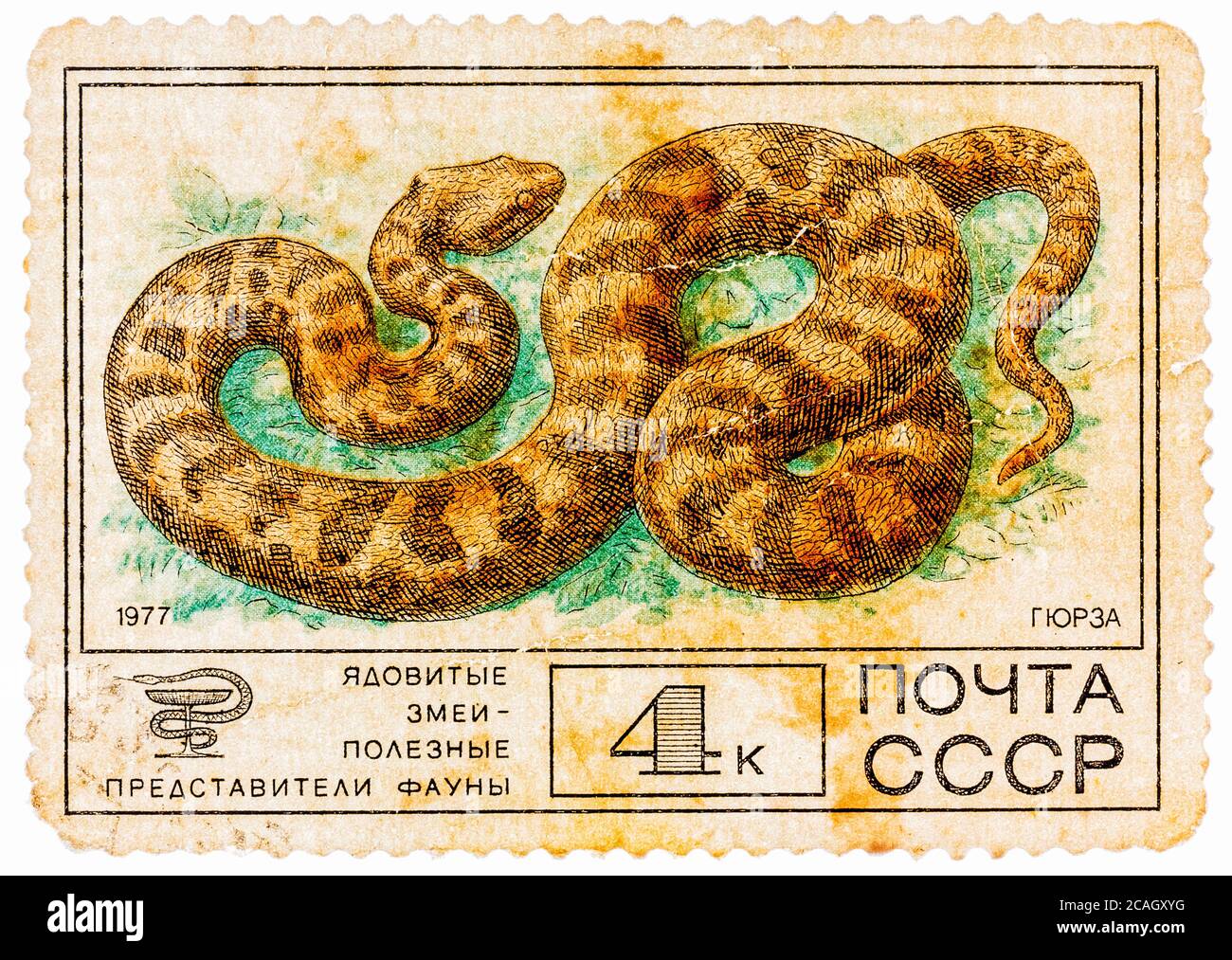 Stamp sheet printed in Russia shows Viper, collection of Protected ...