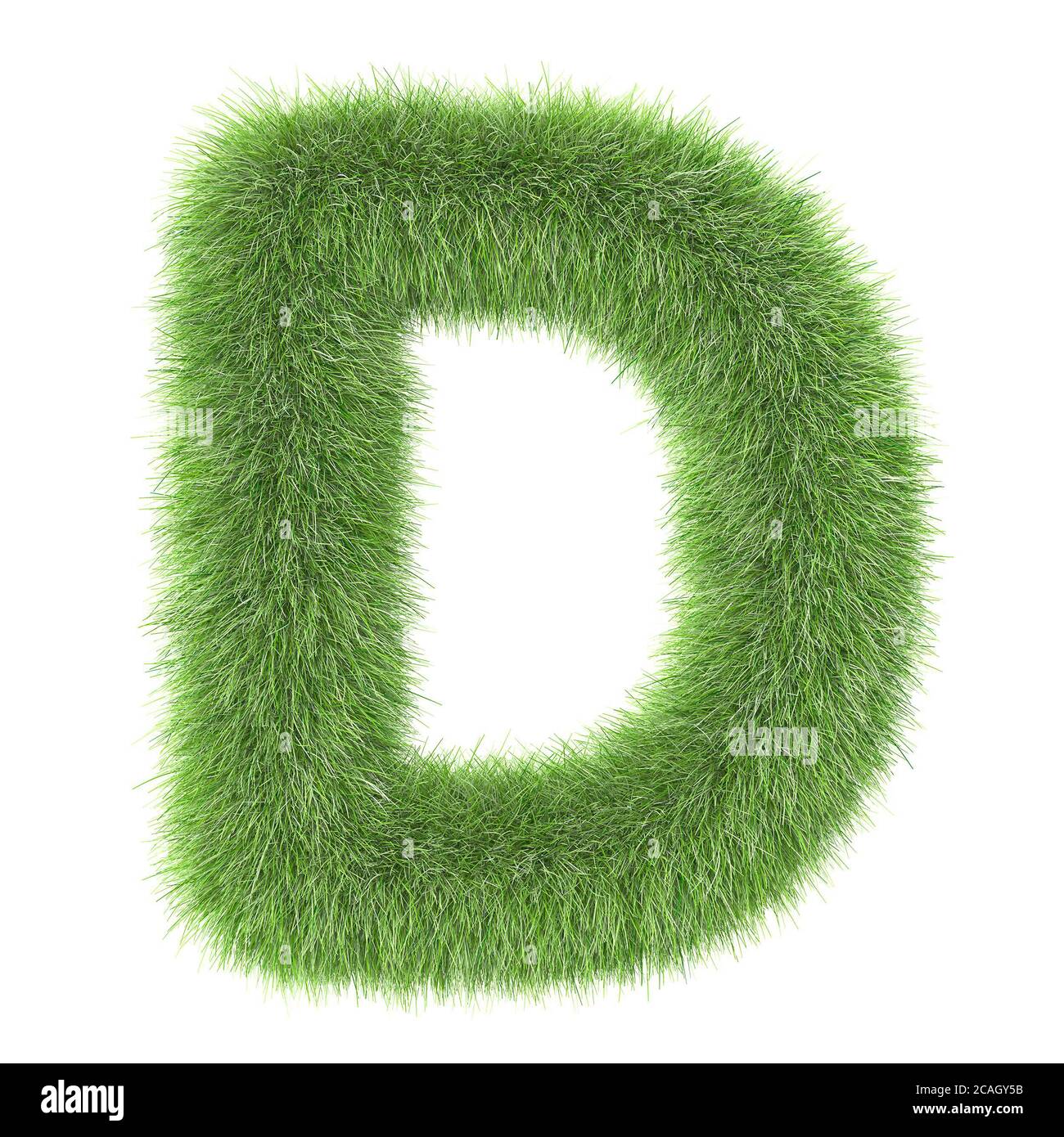 Letter D Images In Nature