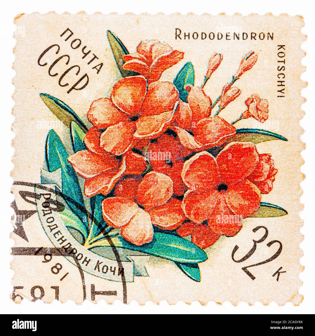 Samp hi-res stock photography and images - Alamy