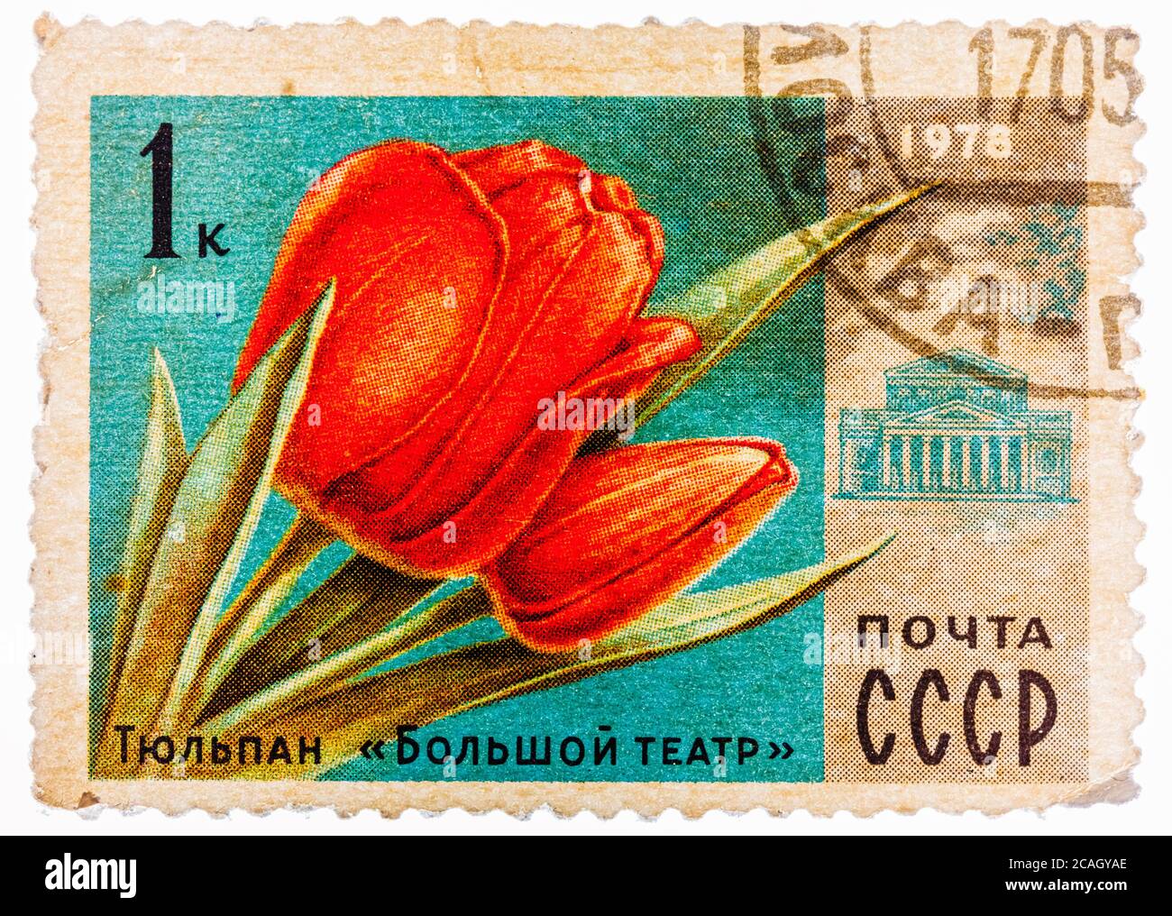 Post stamp printed in USSR (CCCP, soviet union) shows image of tulip ...