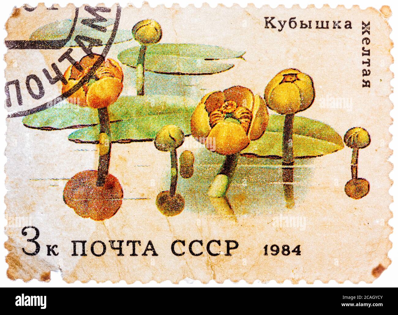 Post stamp printed in USSR (CCCP, soviet union) shows image of water ...