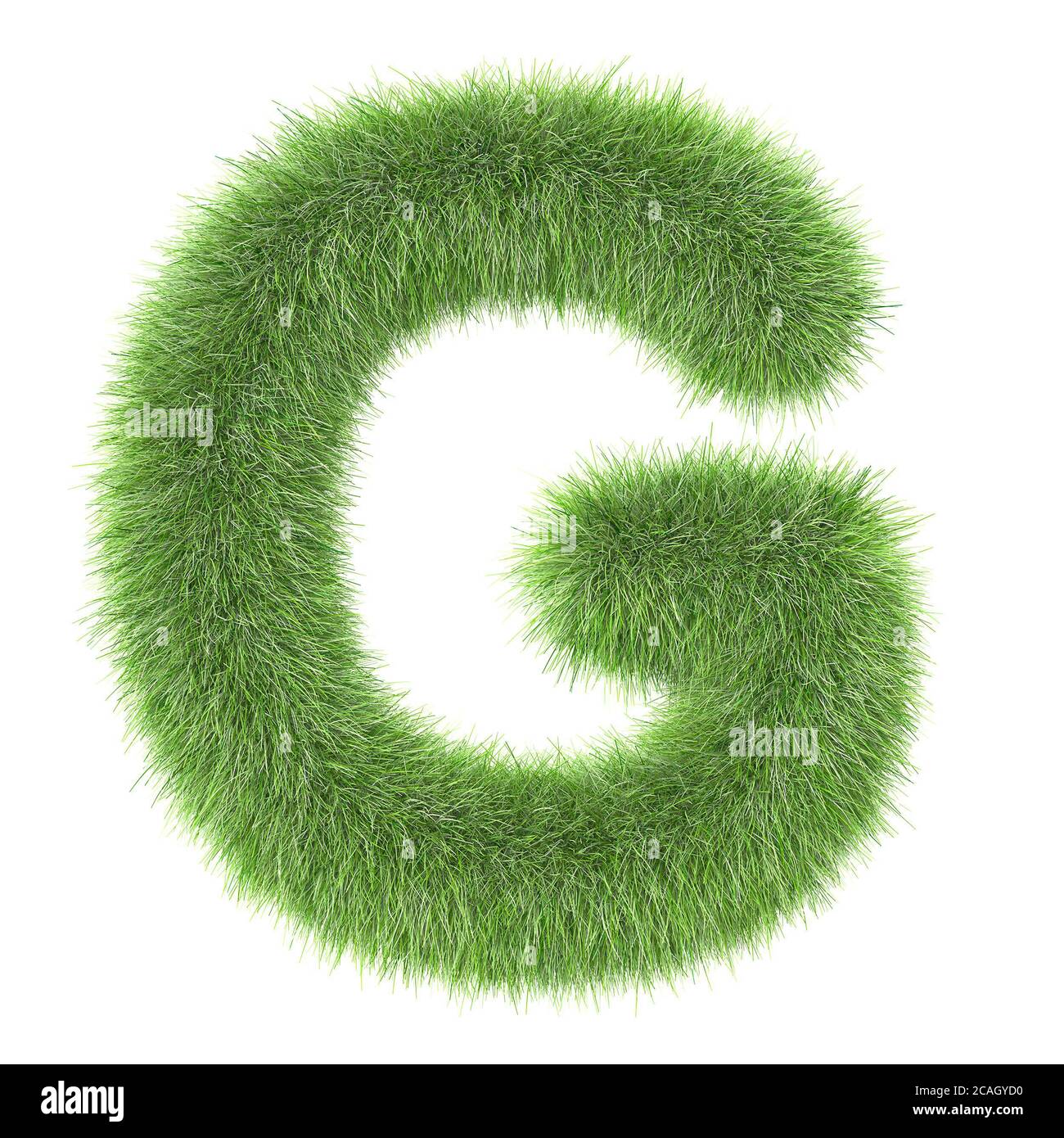 Letter G In Nature
