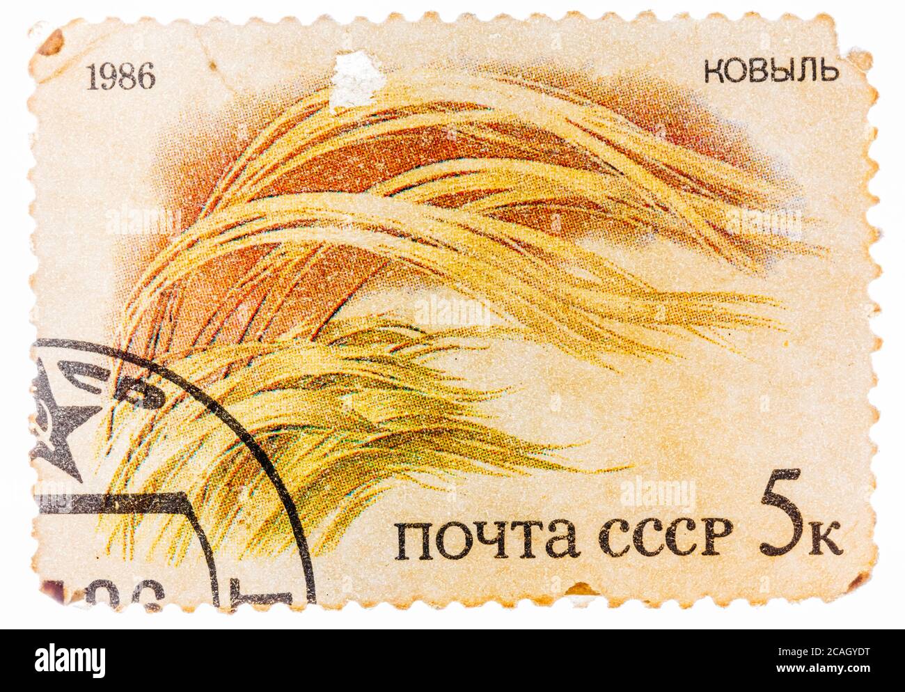 Post stamp printed in USSR (CCCP, soviet union) shows image of Grass ...