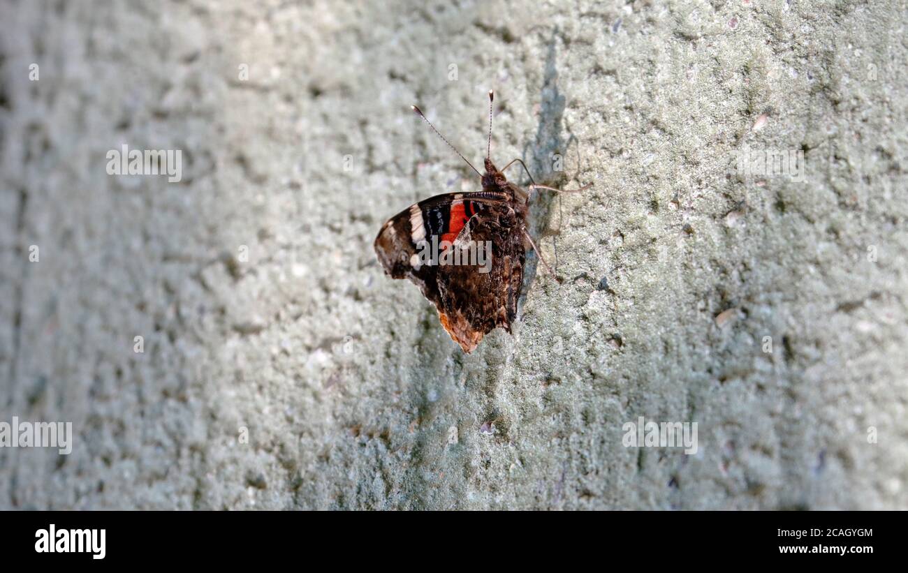 Super small thing hi-res stock photography and images - Alamy