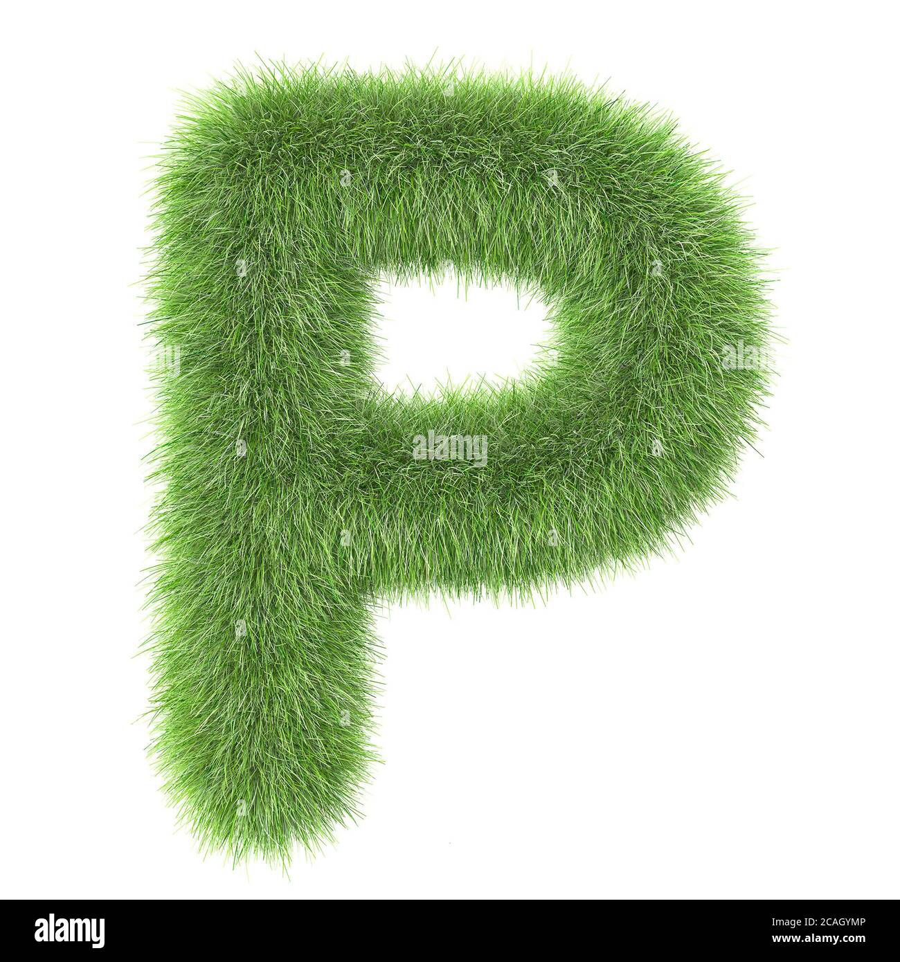 The Letter P In Nature