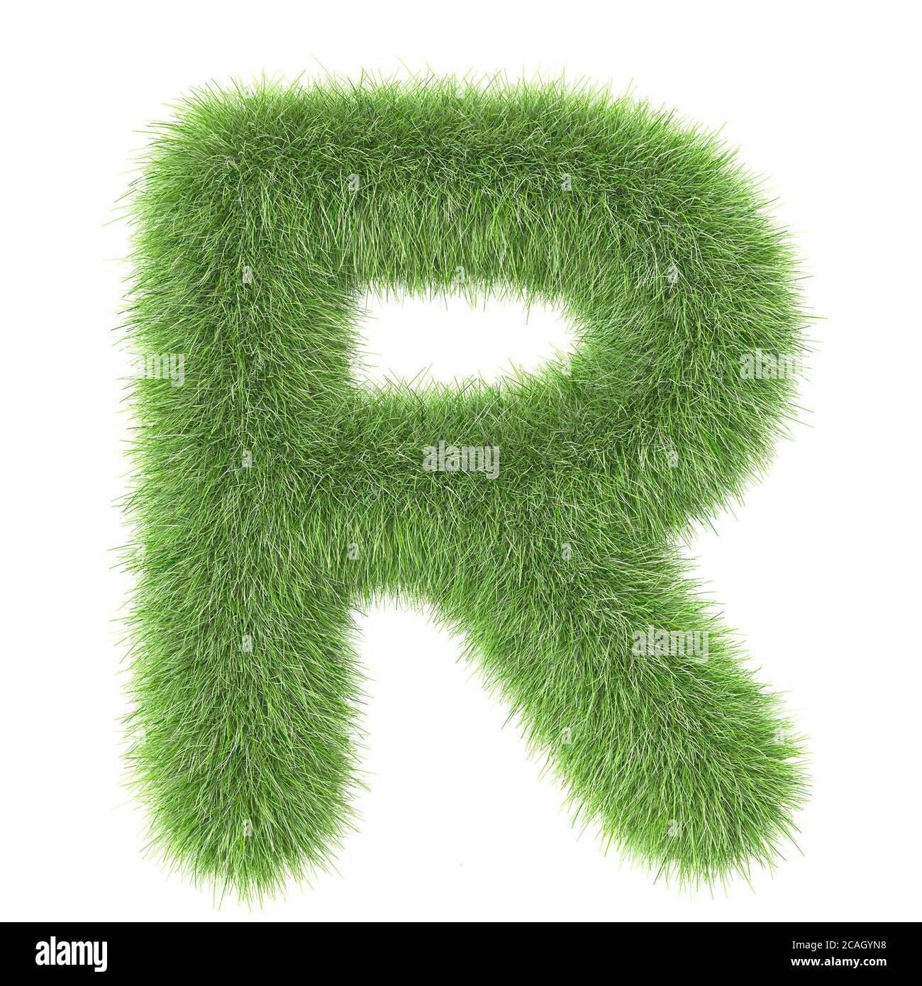 Letter R In Nature