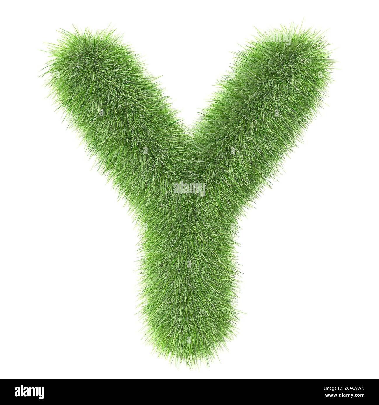 Letter Y In Nature