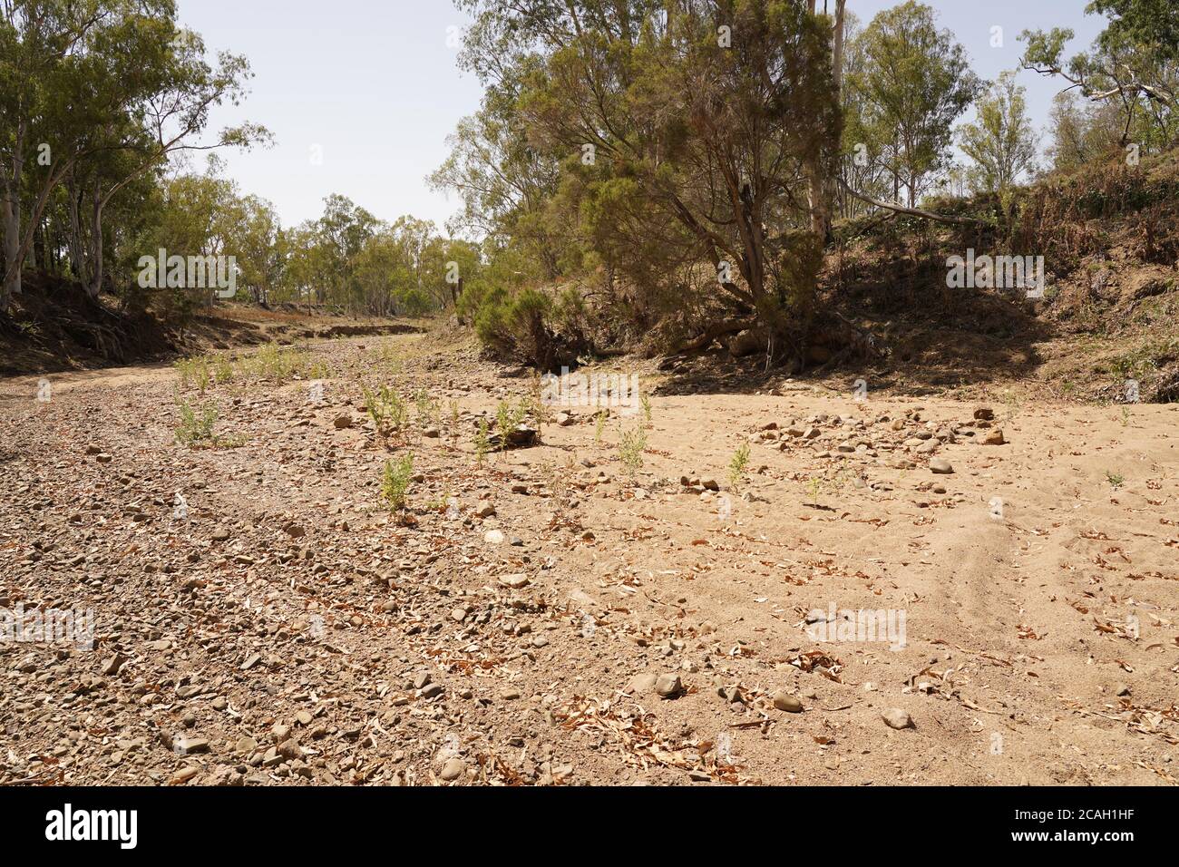 Gemstone fossicking the dry riverbed of Retreat Creek Sapphire ...