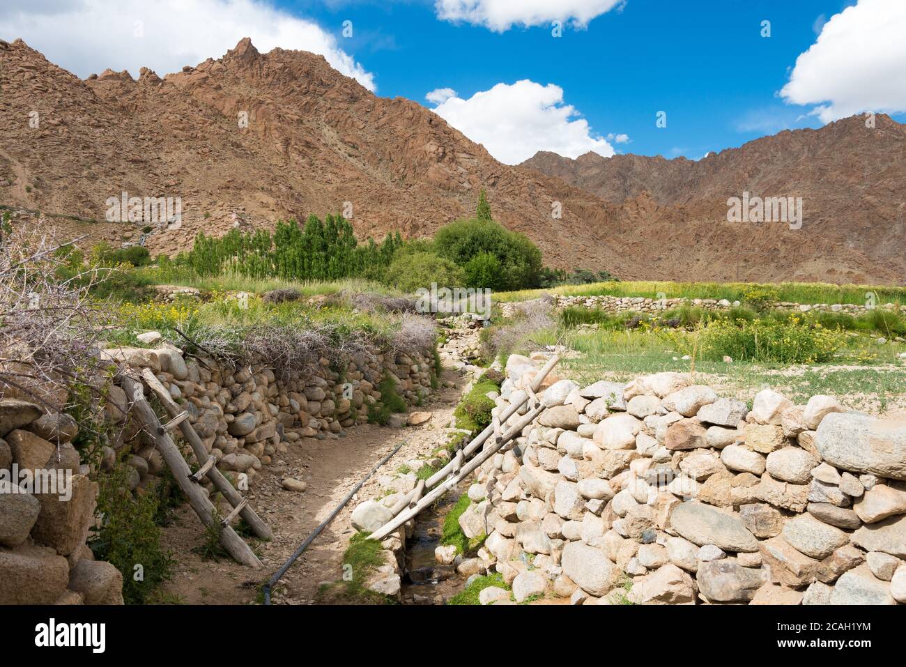 Ladakh, India - Yangtang Village in Sham Valley, Ladakh, Jammu and ...