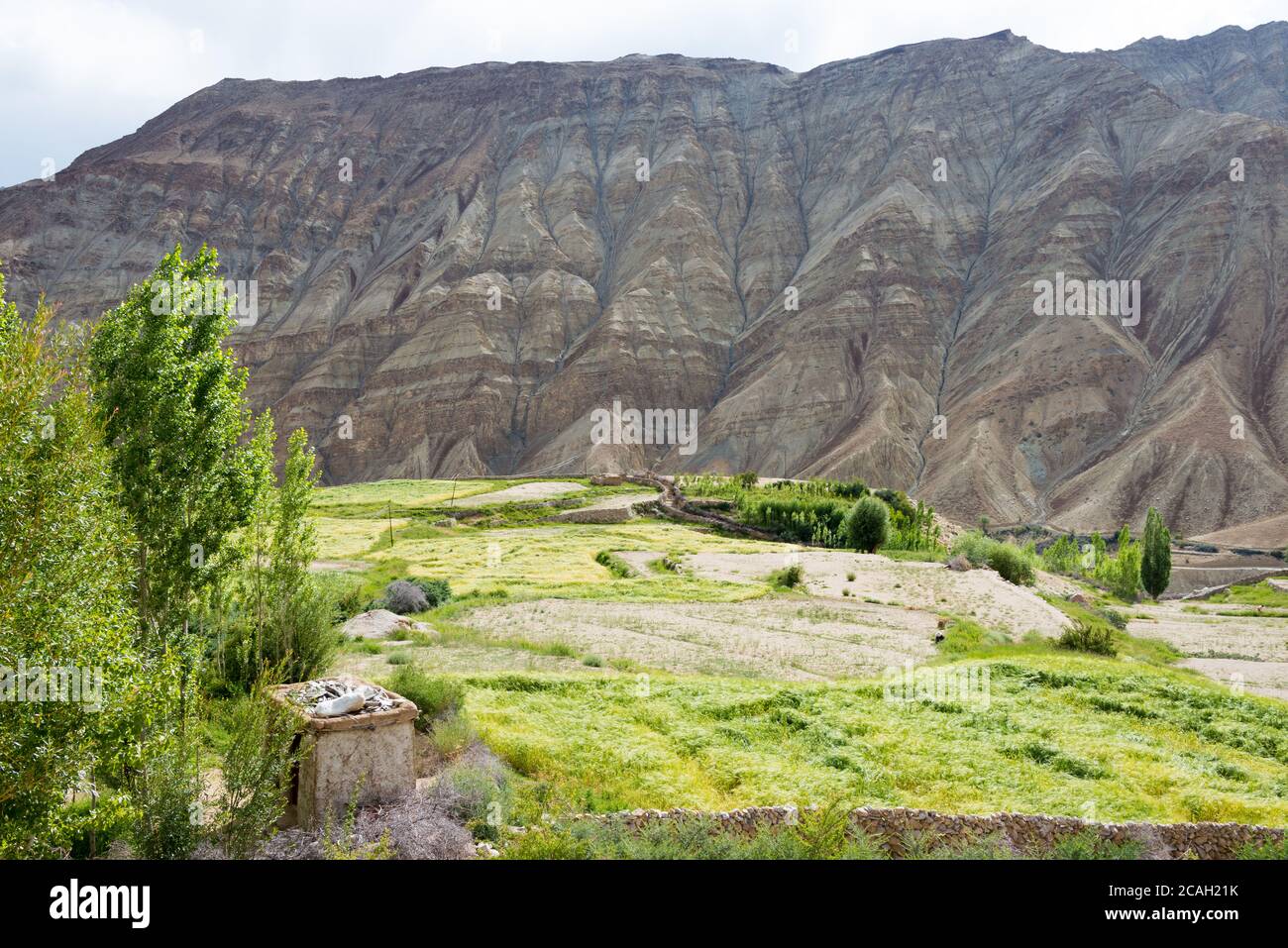 Ladakh, India - Yangtang Village in Sham Valley, Ladakh, Jammu and ...
