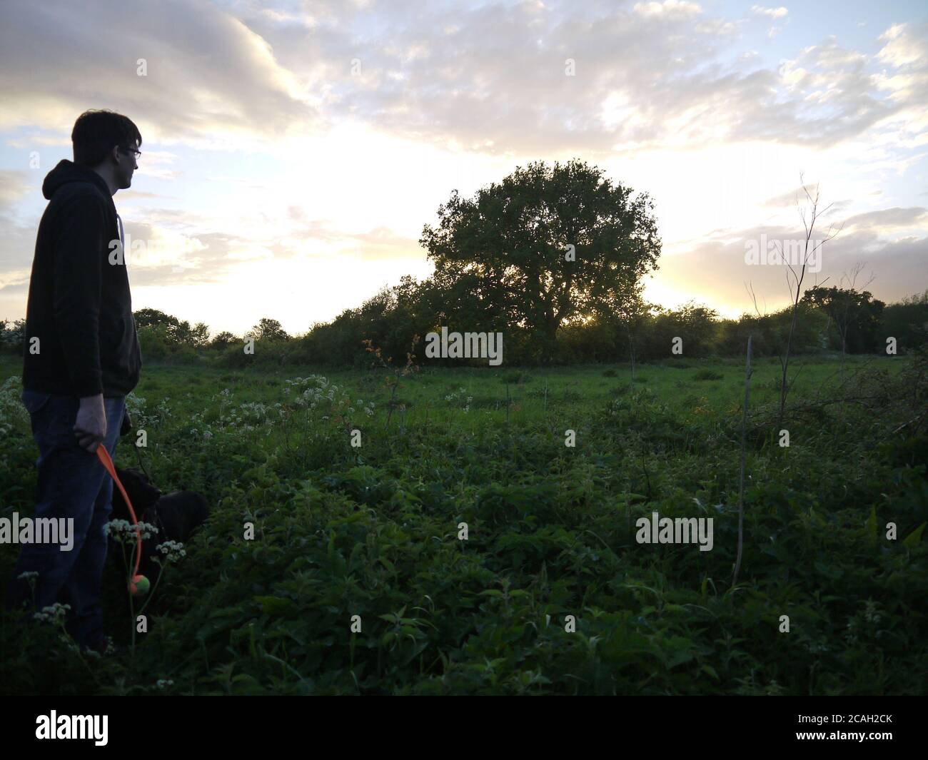 Man walking field tall grass hi-res stock photography and images - Alamy Man walking field tall grass hi-res stock photography and images - Alamy