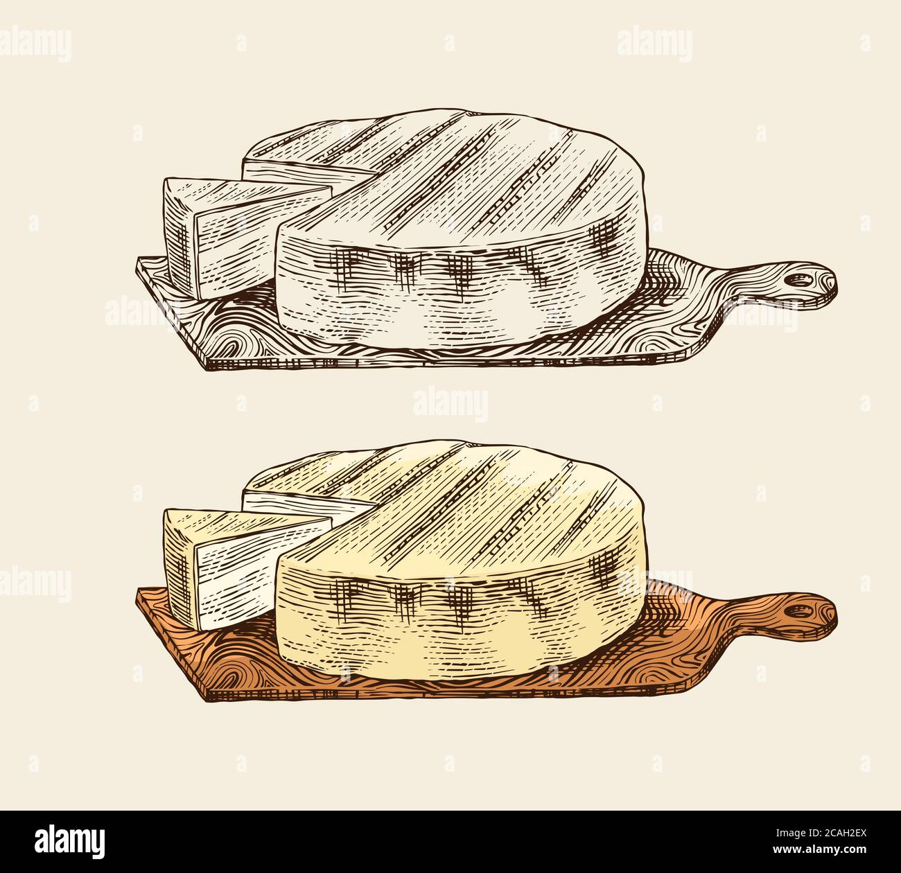 Cheese on the board for market or grocery store. Fresh organic milk ...