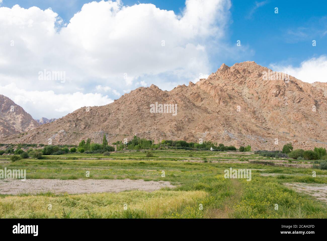 Yangtang village hi-res stock photography and images - Alamy