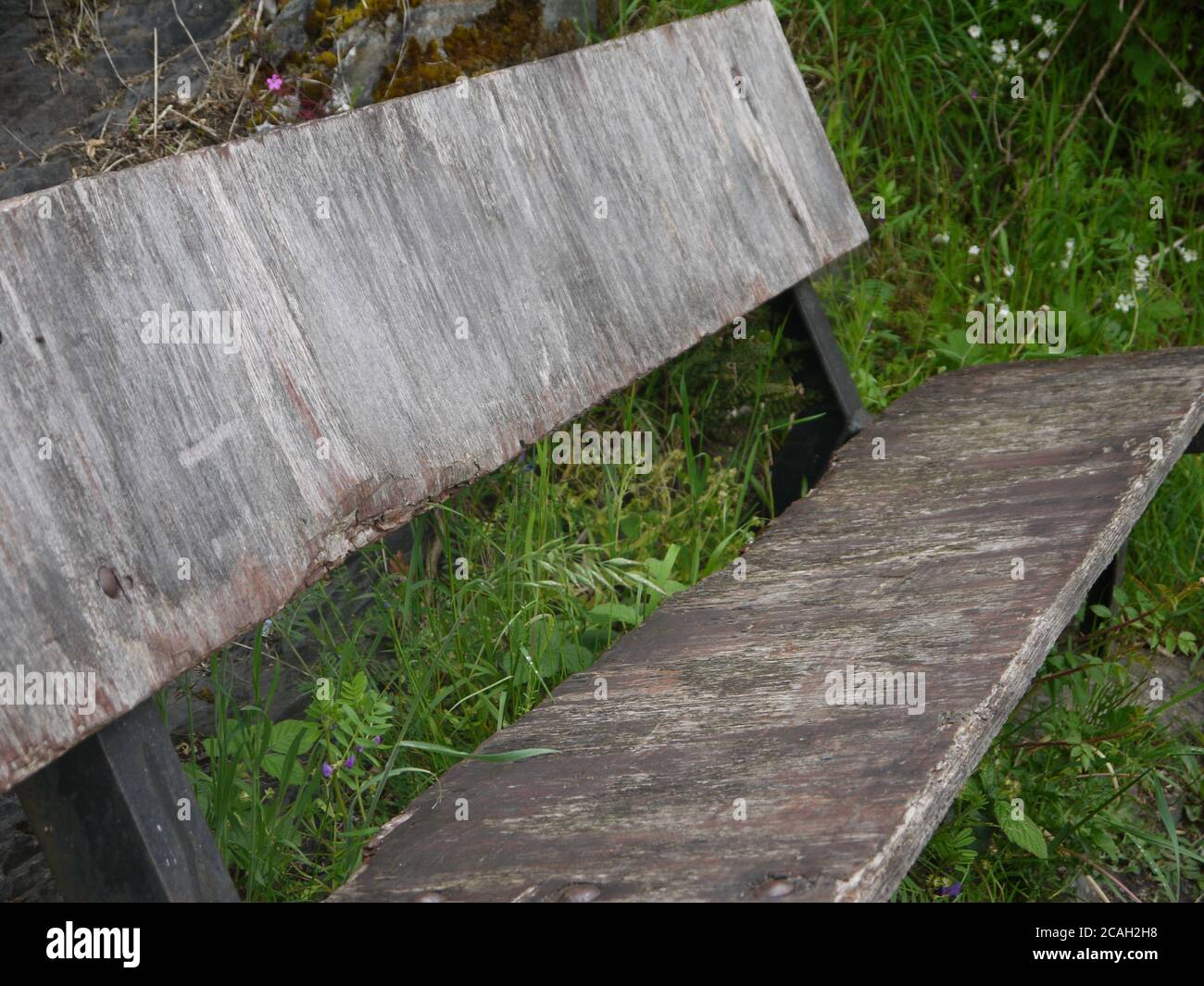 Plank road hi-res stock photography and images - Alamy